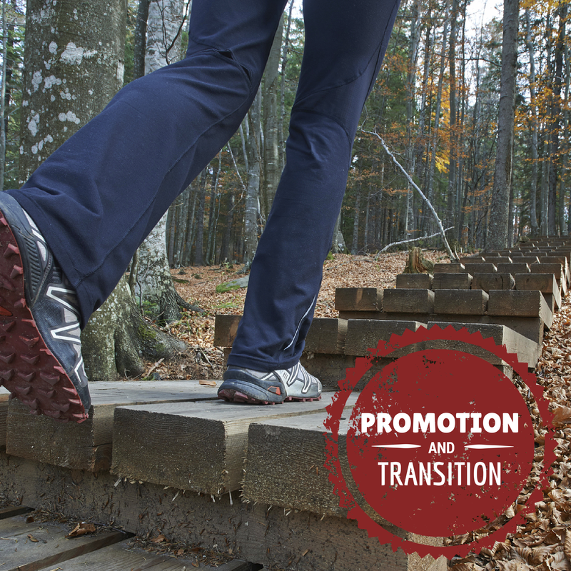 Promotion and Transition